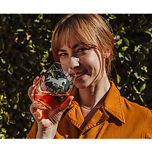 Toynk Yellowstone Dutton Ranch 20-Ounce Stemless Wine Glasses | Set of 2