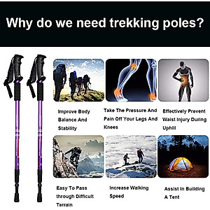 Aihoye Hiking Trekking Poles, 2 Pack Collapsible,Lightweight, Anti Shock, Hiking or Walking Sticks,Adjustable Hiking Pole for Men and Women (Purple)