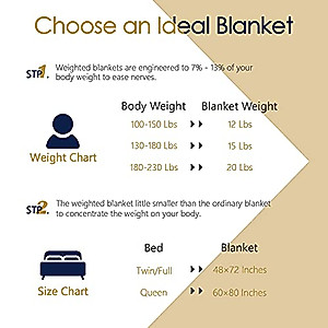 Mr. Sandman Faux Fur Weighted Blanket Queen Size 15 lbs, Luxury Elegant Long Fur Weighted Blanket Throw for Bed Sofa, Super Soft Warm Sherpa Reverse Heavy Blanket - 60"×80", Rainbow