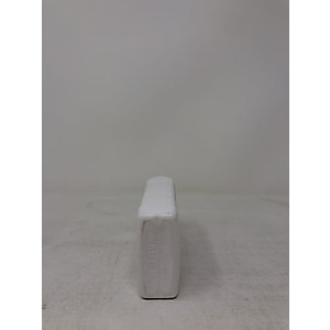 Onslaught Fastcap MGK 8 oz - Spider and Scorpion Insecticide