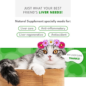 Natural Pet by FNL BIOHEPATIC Liver Support for Dogs and Cats, Dog Liver Supplement with Silymarin & Artichoke for Hepatoprotective Care, 100% Natural Ingredients