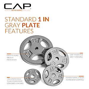 CAP Barbell Standard 1-Inch Grip Weight Plates 2.5 lbs Gray, Pack (x4) (RWPIS-002.5)