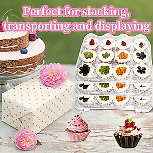 (12 Pack x 8 Sets) Disposable Stackable Plastic Cupcake Containers, Cupcake Holder for 12 Cupcakes,High Tall Dome Lid Cupcake Carriers, Mini Cupcake Container Suitable for cupcakes, desserts, muffins