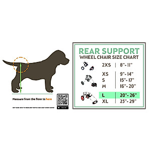 Best Friend Mobility Rear Support Wheelchair 2.0 Large Lightweight Dog Wheelchair for Back Legs