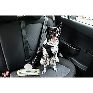 Pogi's Ultimate Dog Wipes Home & Travel Bundle - 400-Count Grooming Wipes for Home and 240-Count Packs for Travel