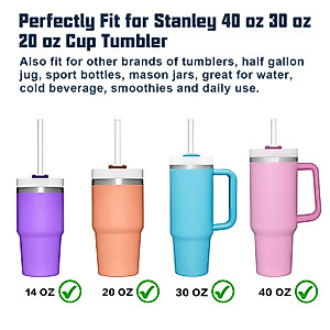 YOUCOX 10 Pcs Replacement Straw for Stanley Cup 40 oz 30 oz 64 oz Tumbler, Clear Reusable long Straws with Cleaning Brush for Stanley Adventure Tumbler Accessories, Dishwasher Safe