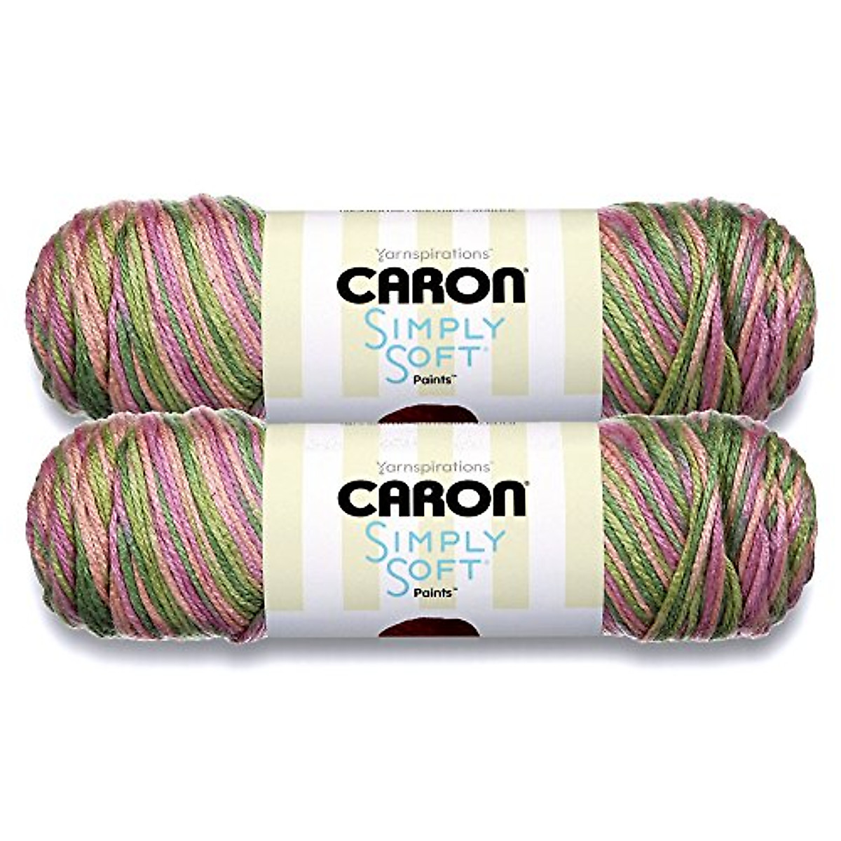 Caron Simply Soft Bulk Buy Paints 100% Acrylic Yarn (2-Pack) ~ 5 oz. Skeins (Rose Garden)