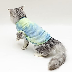 Neiwech Dog Sweaters for Small Dogs Knitted Pet Dog Sweater Soft Warm Dog Sweatshirt Dog Winter Clothes Puppy Sweater Blue Green S