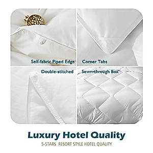 Cobnom Organic Feathers Down Comforter Queen Size, All Season Feathers Down Duvet Insert, Soft 100% Cotton Covered Bed Comforter Insert with Ties, Ivory White, 90x90