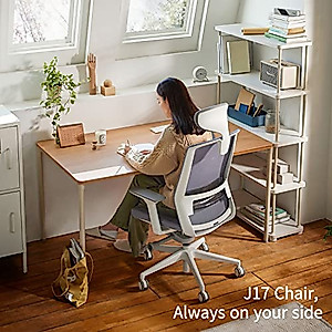 BESTUHL J17 Home Office Desk Chair - Ergonomic, High Back, 3 Lockable Recline Positions, 3-Way Armrest, Adjustable Seat Depth & Lumbar Support, Breathable Mesh Back (White and Grey)