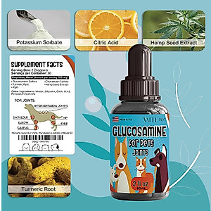 Hip & Joint Glucosamine Drops for Pets - Advanced Formula with Glucosamine, Chondroitin & MSM - Enhances Mobility Support - Natural Pain Relief for Dogs and Cats - Anxiety Supplement for Senior Pets