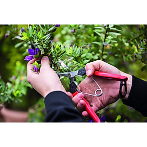 FELCO FELCO322 Model 322 Snips, Red