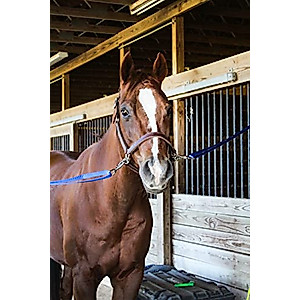 Tack Shack of Ocala Nylon Cross Ties, Set of 2 Cross Ties, Cross Ties for Horses, Quick Release Cross Ties, Stable Supplies, Stable Supplies for Horses (Hunter)