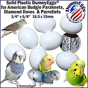7 Dummy Eggs to Stop Egg Laying for Budgerigar Parakeet, Parrotlet, Diamond Dove. Non-Toxic Premium Realistic Plastic Solid Fake Bird Eggs 3/4 x 5/8 USA