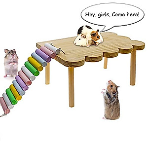 Fejapa Hamster Platform with Ladder Bridge Hamster Cage Stand Platform with Stairs Legs Wooden Platform for Grass Tank Squirrel Gerbil Chinchilla Dwarf Syrian Mice Small Animals Table Guinea Pig
