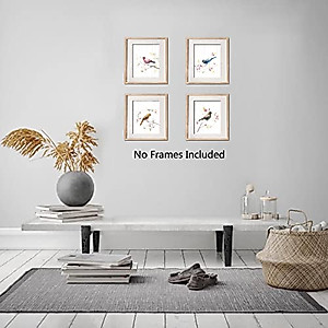 HONGRUIFAN Hummingbird Wall Art Canvas Flower Pictures Watercolor Artwork Prints Painting 8x10 inch Set of 6 Unframed for Kitchen