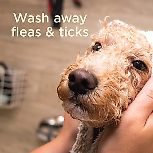 SimpleSource® Flea & Tick Shampoo for Dogs, Powered by Plants, Kills Fleas, Flea Eggs, Flea Larvae, & Ticks, & Mosquitos, Cleans & Deodorizes, 12oz Bottle