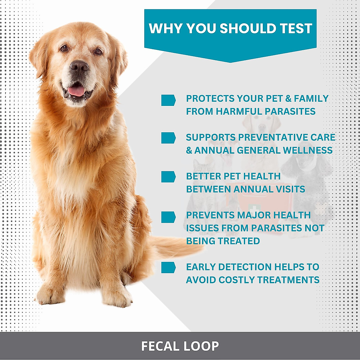 Fecal Loop for Small and Medium Animals, Stool Sample Collection Kit for Small Dogs, Goats, Sheep and Other Small Animals. Take Stool Samples Quickly and Easily with Reusable Double end Loop.