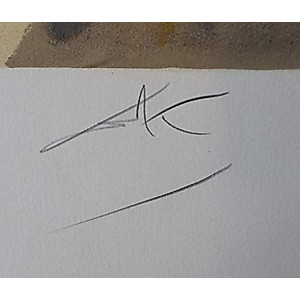 Aliyah The Wailing Wall