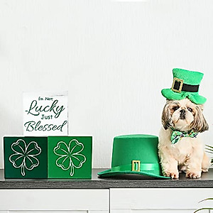 3 Pieces St. Patrick's Day Decorations for The Home Wood Sign Green Shamrock Irish Table Decor St Patrick Day Table Decorative Signs and Plaques for St Patrick's Day Decorations Supplies