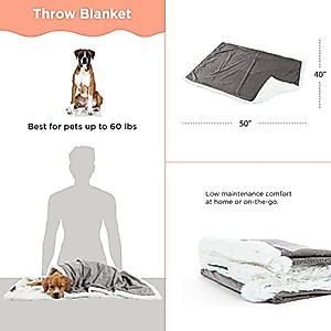 Best Friends by Sheri Premium Self-Warming Ilan Microfiber Faux Fur Pet Throw Blanket 40x50 in Grey