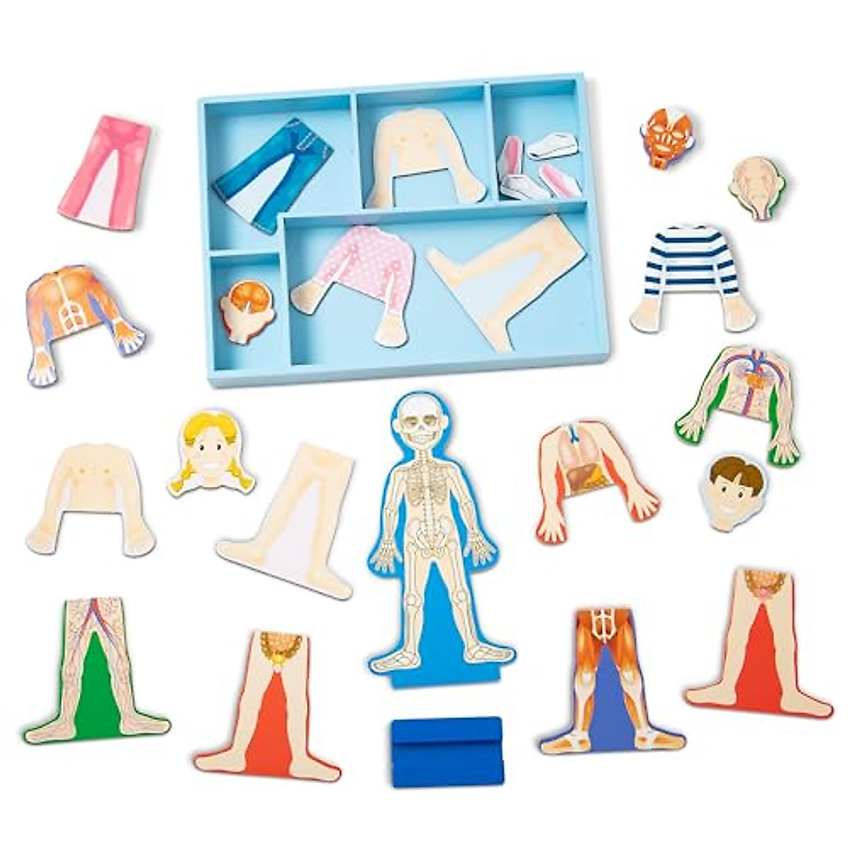 Melissa &amp; Doug Magnetic Human Body Anatomy Play Set With 24 Magnetic Pieces and Storage Tray