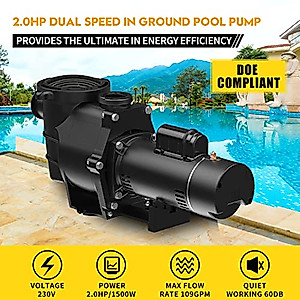 BRIOPAWS 2HP Dual Speed Pool Pump, 6420GPH Flow, 66FT Head Lift, 1.5" and 2" Fittings, Self-Priming Water Pump for Inground/Above Ground/Seawater Pools and Hot Tubs, ONLY 230V 60HZ AC