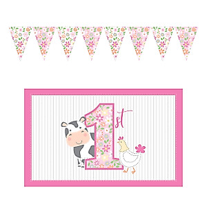 Creative Converting 340503 Farmhouse 1st Birthday Girl High Chair Kit