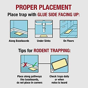 Reliable1st Super Glue Rat & Mouse Traps 12 Pack | Non-Toxic Tray with Super Strong Glue for Rat, Mouse and Snake | Heavy Duty Rodent Catcher for Inside Home | Pet & Family Safe