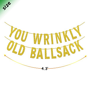 You Wrinkly Old Ball Sack Funny Party Banner for 50th 60th 70th 80th Birthday Party Retirement Party Decorations