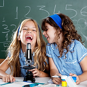 Real Butterfly Specimen Specimens Paperweight Paperweights Collection Display(3x3x0.6")