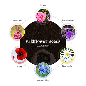 Seed Bloom Set of 24 Purple Butterfly – Plantable Seed Paper for Bridal Shower Weddings, and Gifts