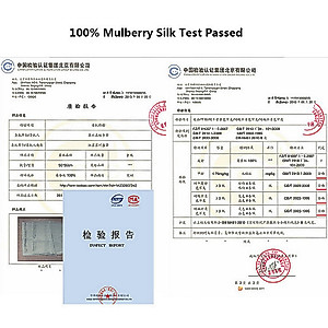 Hodeco Nature Silk Pillowcase 14x20 Double Sides 100% Mulberry Silk 19 Momme Thick Silk Pillow Cover for Bed Pillow Sham Cover Toddler Size 36x51cm Silk Pillowcase, Peacock Blue 1 Piece