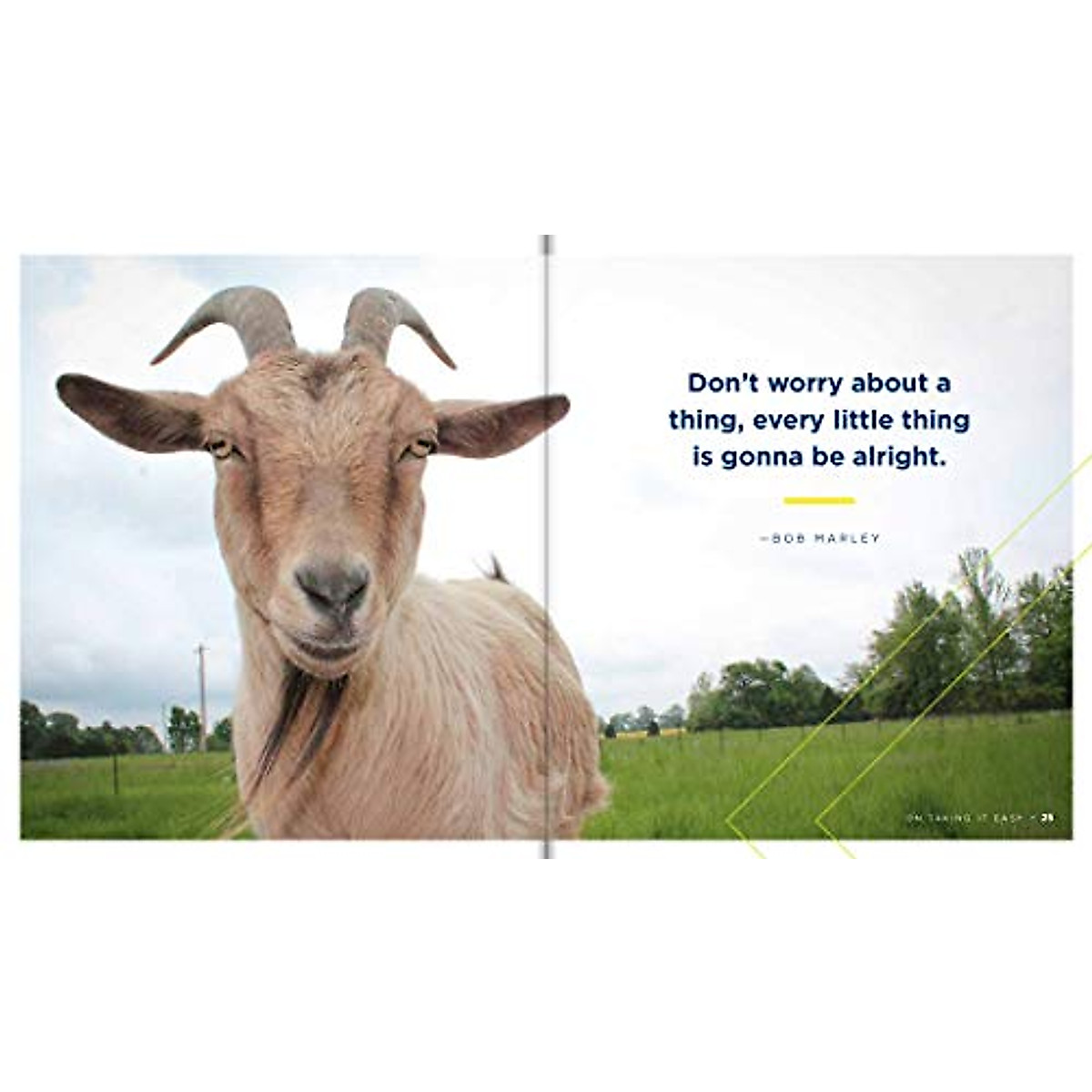 You've Goat This: Wisdom to Get You Through the Good, the Baaad, and Everything in Between
