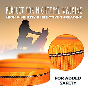 Mighty Paw Two Handle Dog Leash - Extra Control When You Need - Strong Climbers Carabiner - Super Soft Neoprene Padded Handles for Ultimate Comfort - Easy & Convenient - Reflective Stitching - Orange
