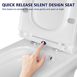 DeerValley Elongated One Piece Toilet, DV-1F0072-1 Square Compact Toilets for Bathrooms, Dual Flush 1/1.6 GPF and MaP 1000g, 12'' Rough-In Chair Height 16.93" Ceramic White Toilet With Soft Close Seat