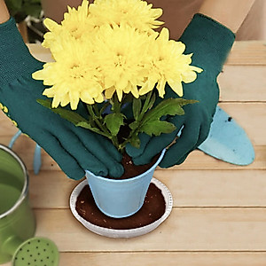 FUTED 6 pack 5 Inch Clear Plant Saucer, Durable Plastic Plant Trays for Indoor, Round Flower Plant Pot Saucer, Sturdy Plant Water Catcher Tray