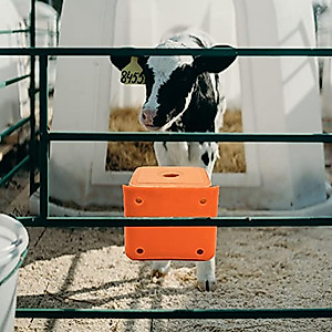 POPETPOP Cattle Salt Block Feeder, Livestock Salt Block Box Mineral Salt Block Holder Supplement Feeder for Horses, Goats, Sheep
