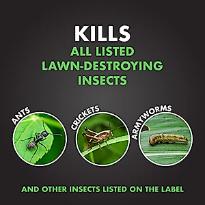 Spectracide Triazicide Insect Killer For Lawns Granules, 10 lb Bag (Pack of 4) , Kills All Listed Lawn-Damaging Insects