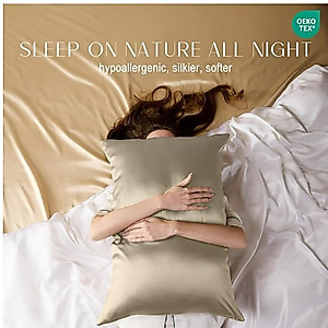 ZIMASILK 100% Mulberry Silk Pillowcase for Hair and Skin Health,Soft and Smooth,Both Sides Premium Grade 6A Silk,600 Thread Count,with Hidden Zipper,1pc (Queen 20''x30'',Taupe)