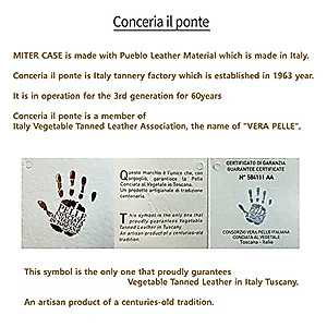 Miter Case for iFi Audio xDSD Gryphon Pro / Gryphon dac , Handmade Italy Pueblo Leather Case Cover for GryphonPro (Green)