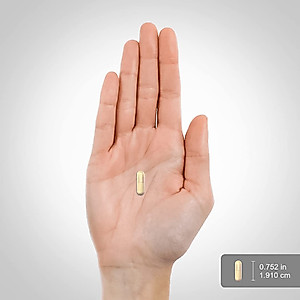 Piping Rock Bitter Melon Capsules 1200mg | 200 Count | Momordica Charantia | Concentrated Extract | Herbal Supplement | Non-GMO, Gluten Free