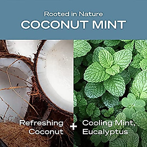Hey Humans Coconut Mint Vegan, Aluminum Free Deodorant with Natural Ingredients, Coconut Oil & Shea Butter | All Day Odor Protection for Women & Men | Earth-Friendly Packaging, 2 oz. - Pack of 2