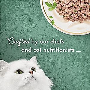 Purina Fancy Feast Wet Cat Food, Medleys Wild Salmon Florentine With Garden Greens in Delicate Sauce - (Pack of 24) 3 oz. Cans