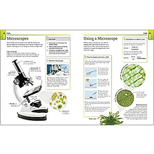 Super Simple Biology: The Ultimate Bitesize Study Guide (DK Super Simple)