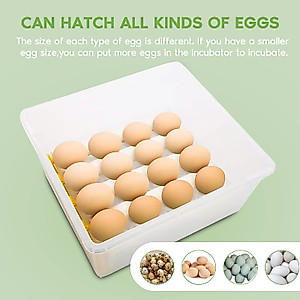 16 Eggs Incubator for Chicken Eggs, Led Candler Automatic Egg Turner Temperature Control,Poultry Hatcher for Chick, Duck, Quail, Goose Eggs