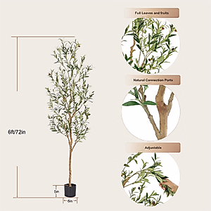 Bellacat Faux Olive Tree 6ft，Olive Trees Artificial Indoor with Natural Wood Trunk and Realistic Leaves and Fruits. 6 Feet(72in) Fake Olive Tree for Home House Office Décor.