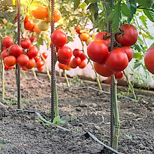 Besitu 24 Inches Straight Rebar Stakes(20-Pack), 1/2" Diameter Steel Metal Stakes for Garden with Chisel Point End Heavy Duty Ground Anchors for Landscape, Concrete Form, Camping & Trapping Black