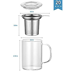 Enindel 3020.05 Glass Tea Mug with Infuser and Lid, Tea Cup, Clear, 20 OZ, GM005