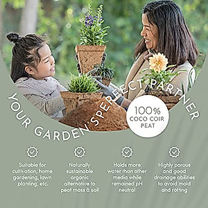 Bee Green Coco Coir Brick, Pure Coco Peat, All Natural Potting Soil for House Plants, Plant Soil Substitute for Peat Moss and Perlite, 1 Kilogram